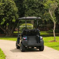 China 2 Seat Electric Golf Cart 48V Lithium Battery Support Long Range for sale