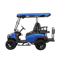 China Lifted 2 Seats 2 Rear Electric Golf Buggy 72V Lithium Battery Long Range for sale