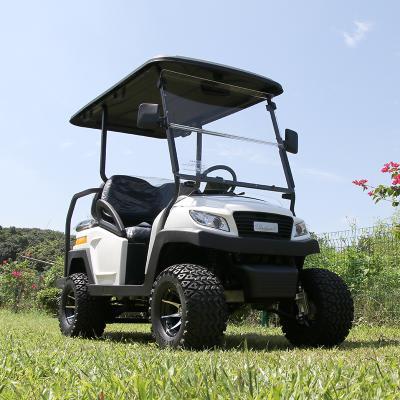 China Lifted 2-Seat 2 Rear Electric Golf Buggy 48V Lithium Battery 50-70km Range 30% Climbing for sale