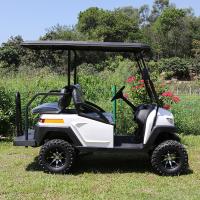 China Lifted 2-Seat 2 Rear Electric Golf Buggy 48V Lithium Battery 50-70km Range 30% Climbing for sale