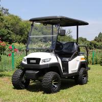 China Lifted 2-Seat 2 Rear Electric Golf Buggy 48V Lithium Battery 50-70km Range 30% Climbing for sale