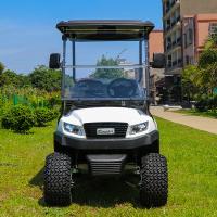 China Lifted 2-Seat 2 Rear Electric Golf Buggy 48V Lithium Battery 50-70km Range 30% Climbing for sale