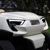 China 8 Passenger Electric Golf Cart 48V 105Ah Lithium Battery 25km/h High Speed Long Range for sale