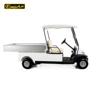 China 48V Trojan Battery Electric Utility Car 2 Passenger Cargo Box 600kg Load 23km/h for sale