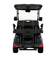 China Premium Electric Golf Buggy 2+2 with Rear Flip Flop Seat 48V 5KW LiFePO4 105Ah for sale