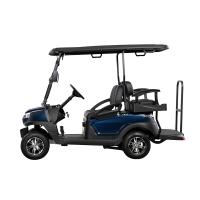 China Premium Electric Golf Buggy 2+2 with Rear Flip Flop Seat 48V 5KW LiFePO4 105Ah for sale