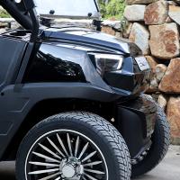 China 6 Seater Electric Golf Cart 48V Lithium Battery Sightseeing Vehicle 45km/h 60-100km Range for sale