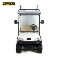 China Electric Hotel Buggy Car 48V 2-Seater Luggage Transport Vehicle with 45 km/h Speed and 35% Gradeability for sale