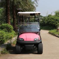 China CE Approved 48V Electric Golf Cart with 3700W Motor and 600kg Capacity - 2 Passenger Utility Vehicle for sale