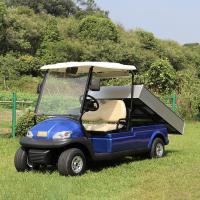 China CE Approved 48V Electric Golf Cart - 2 Seats, 23-45 km/h Speed, 70-90 km Range with Trojan Battery for sale