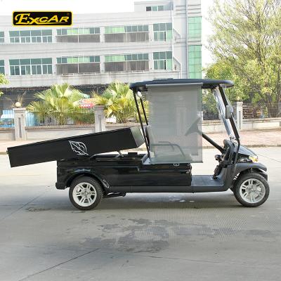 China 2 Passenger Black Golf Food Cart with 3.7KW ACIM Motor, 48V DC System, 23-45 km/h Speed Range for sale
