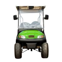 China Lifted 4 Seats 2 Rears Electric Golf Buggy Lithium Battery Accessories Customizable for sale