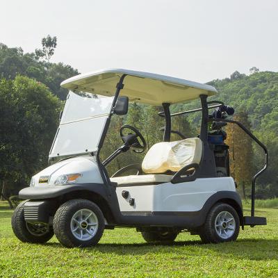 China Excar A1S2 Dual-Seat Electric Golf Cart 48V Lithium Battery 5000W 80-100km Range for sale