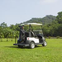China Excar A1S2 Dual-Seat Electric Golf Cart 48V Lithium Battery 5000W 80-100km Range for sale