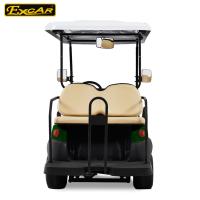 China Lifted Electric Gof Cart with Built-in Rear Seat with Storage Box for sale