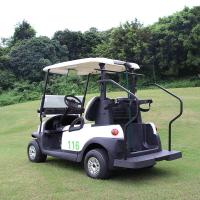 China White 48V 2 Passenger Electric Golf Cart with 3700W Motor and Curtis Controller for sale