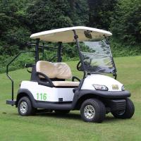 China 2 Passenger Electric Golf Buggy 35 km/h 30% Climbing Capacity Aluminum Chassis for sale