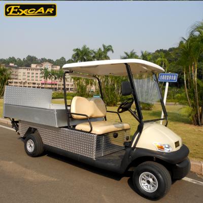 China 48V Electric Golf Cart Utility Vehicle 2 Seats with Cargo Box 23km/h or 45km/h for sale