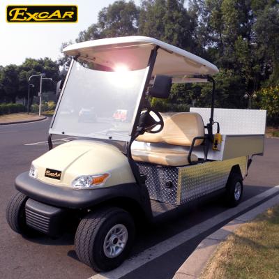 China Acim Motor Utility Golf Cart 48V 5kW AC 2 Seater with 205/50-10 Tyre and Rear Container for sale