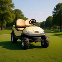 China Safety Golf Cart Utility Vehicles With Comfortable Sofa Chair for sale