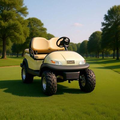 China Safety Golf Cart Utility Vehicles With Comfortable Sofa Chair for sale