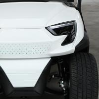 China 6 Seater Electric Golf Cart 48V Lithium Battery High Climbing Ability Customizable for sale