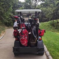 China Electric Golf Club Car 2 Seater 48V 3KW AC Motor with Curtis Controller for sale