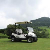 China White 48V 2 Passenger Electric Golf Cart with 3700W Motor and Curtis Controller for sale