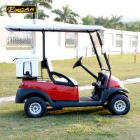 China 48V 3700W AC Motor 2 Seater Electric Golf Car with Ice Box Custom Buggy for sale