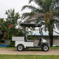China EXCAR 48V Electric Golf Cart Utility Vehicle with Trojan Batteries and Italian Graziano Axle | 2-Seater 3400mm Length for sale