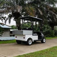 China EXCAR 48V Electric Golf Cart Utility Vehicle with Trojan Batteries and Italian Graziano Axle | 2-Seater 3400mm Length for sale