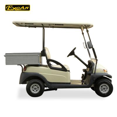 China 2 Passenger Electric Utility Cart with Curtis 275A Controller and Trojan Battery 48V for sale