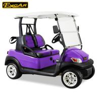 China Purple 2 Passenger Electric Golf Cart 48V 3700W with Trojan T-875 Battery for sale