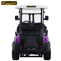 China 48V 2 Passenger Electric Golf Cart 3700W Motor Curtis Controller 1 Year Warranty for sale