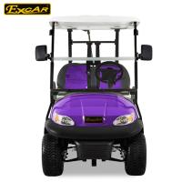 China Purple 2 Passenger Electric Golf Cart 48V 3700W with Trojan T-875 Battery for sale