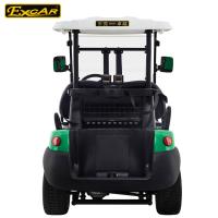 China Electric Golf Cart 2 Seats 48V 275A Curtis Controller Optional Double Color for sale