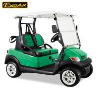 China Electric Golf Cart 2 Seats 48V 275A Curtis Controller Optional Double Color for sale