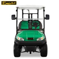 China Electric Golf Cart 2 Seats 48V 275A Curtis Controller Optional Double Color for sale