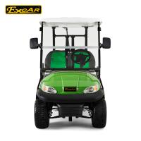 China 48V 3700W Electric Golf Buggy with Trojan T-875 Battery 600kg Capacity 2-Seater Cart for sale