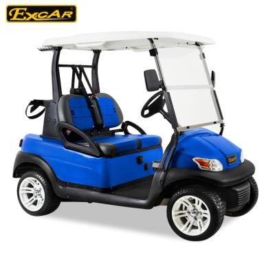 China 48V Electric Golf Buggy 2 Seater with Trojan T-875 Battery | 3700W Motor | 80-100km Range for sale