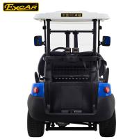 China Blue 48V Mini Electric Golf Buggy with Trojan Battery & Curtis Controller - 3700W Motor, 600kg Capacity for sale