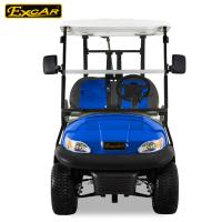 China Blue 48V Mini Electric Golf Buggy with Trojan Battery & Curtis Controller - 3700W Motor, 600kg Capacity for sale