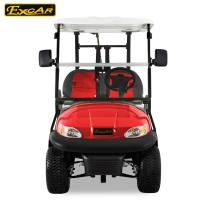 China 48V 3700W Electric Golf Buggy with Trojan T-875 Battery 600kg Capacity 2-Seater Cart for sale