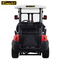 China 48V 3700W Electric Golf Buggy with Trojan T-875 Battery 600kg Capacity 2-Seater Cart for sale