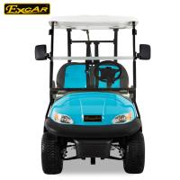 China EXCAR 2 seater Mini Electric Golf Cart Trojan Battery golf car/Curtis Controller for sale