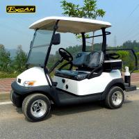 China Excar 2 Seater Electric Golf Buggy 48V 3700W ISO/CE Approved Yellow Black for sale