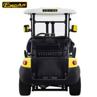 China Excar 2 Seater Electric Golf Buggy 48V 3700W ISO/CE Approved Yellow Black for sale