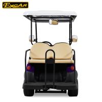China EXCAR 48V Four Wheel Electric Golf Buggy with 600KG Capacity and 70-90km Range - Purple Color for sale