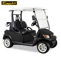 China EXCAR Black Seat 2-Person Golf Cart with 48V 3700W Motor and 600kg Capacity for sale