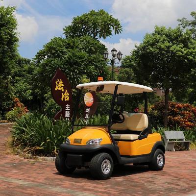 China EXCAR White Electric Patrol Car 2 Seats Electric Car ADC Separately Motor for sale